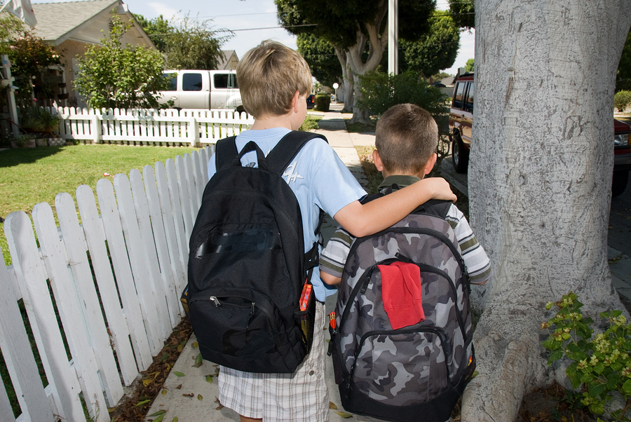 How To Pick The Best Backpack For Study | The College People