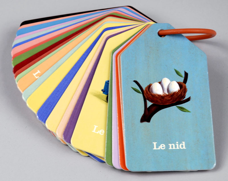 Guide To Using French Flash Card For Effective Learning | The College ...